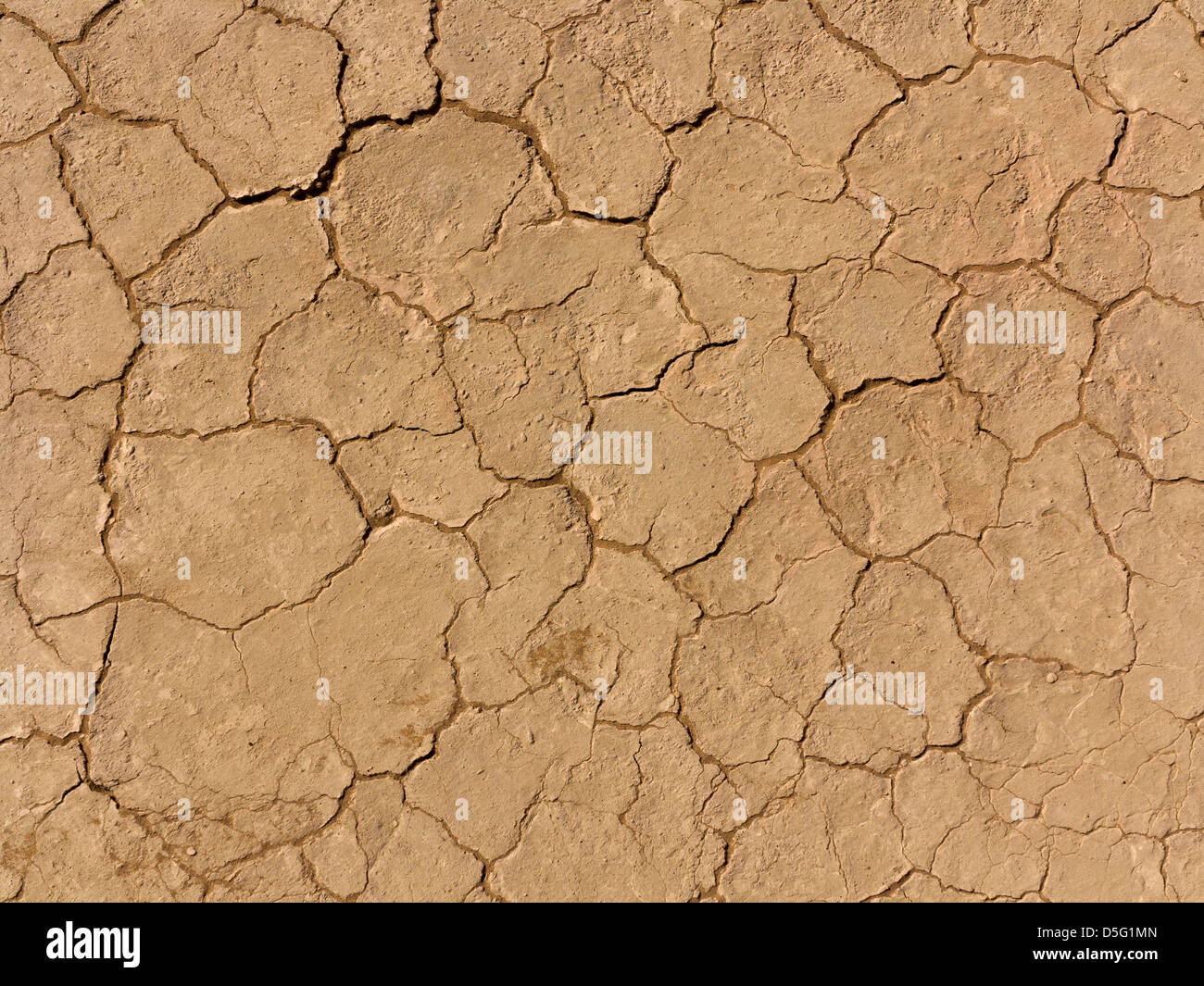 Close up of reticulated dried mud on desert floor creating abstract ...