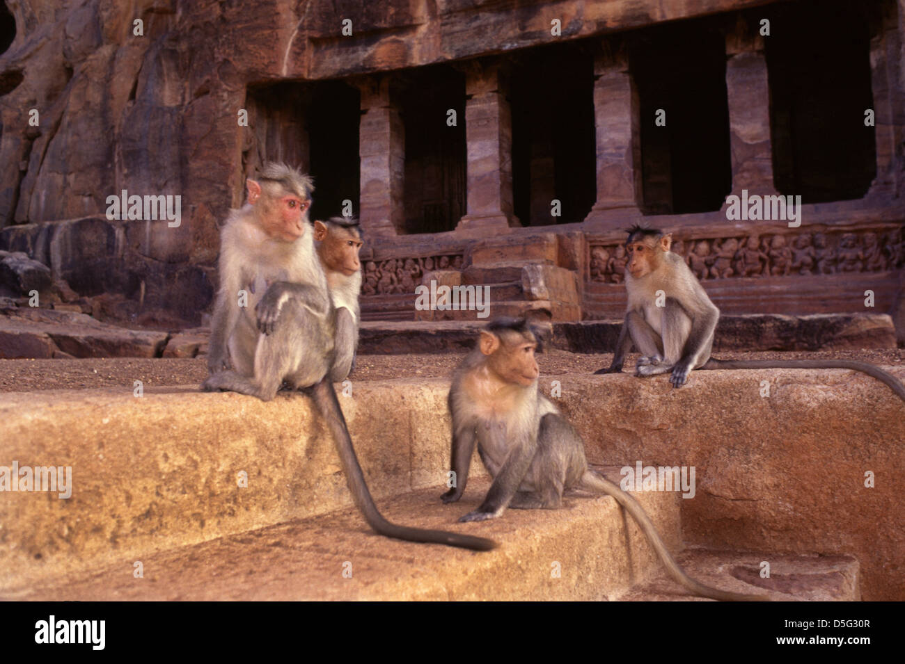 Monkeys in front of the rock-cut Hindu Bhutanatha cave temple number 3 ...