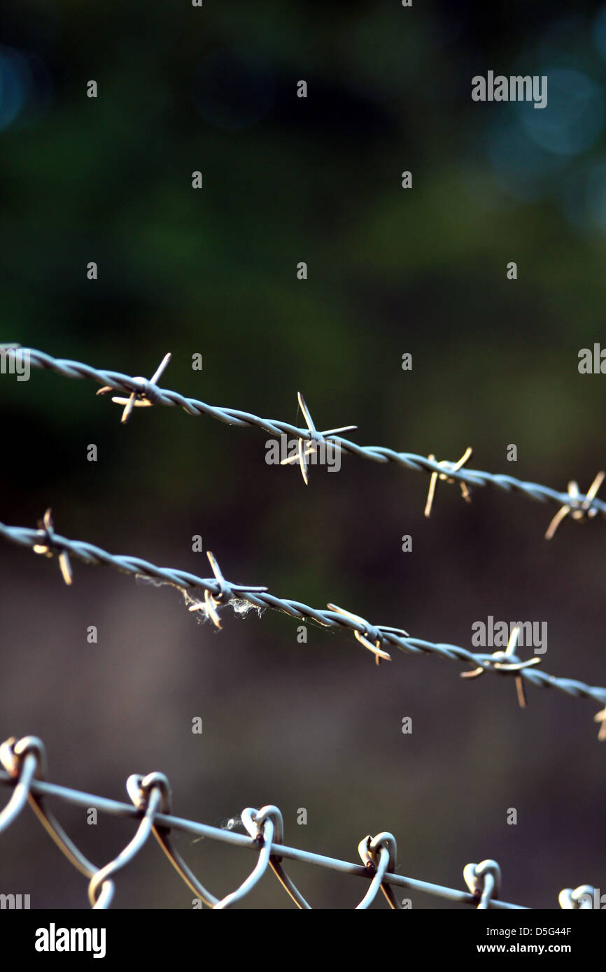 Sting wire hi-res stock photography and images - Alamy