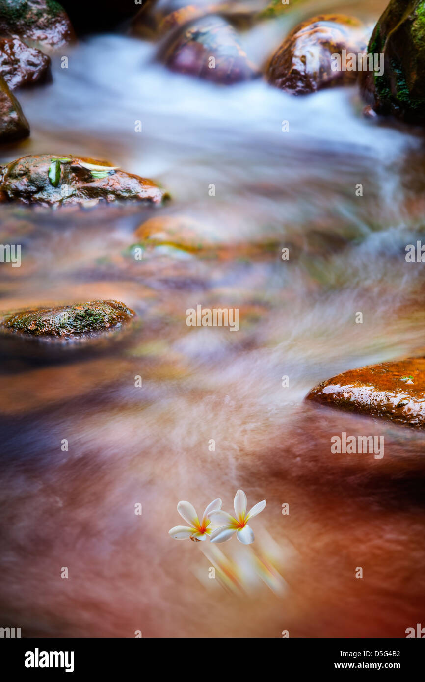Fast flowing water in the mountain Stock Photo - Alamy