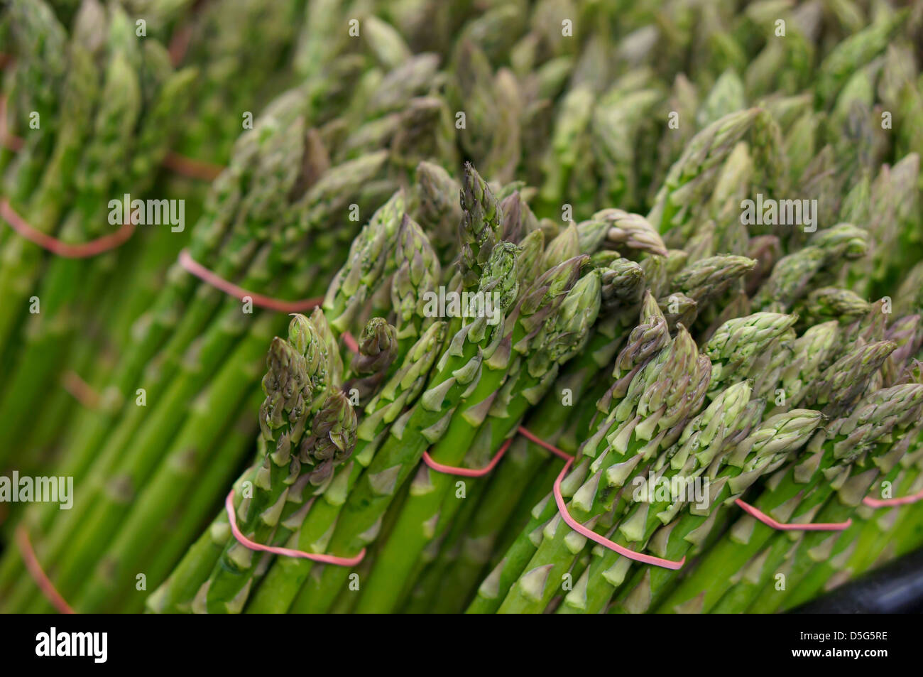 Asparagus bundles hi-res stock photography and images - Alamy