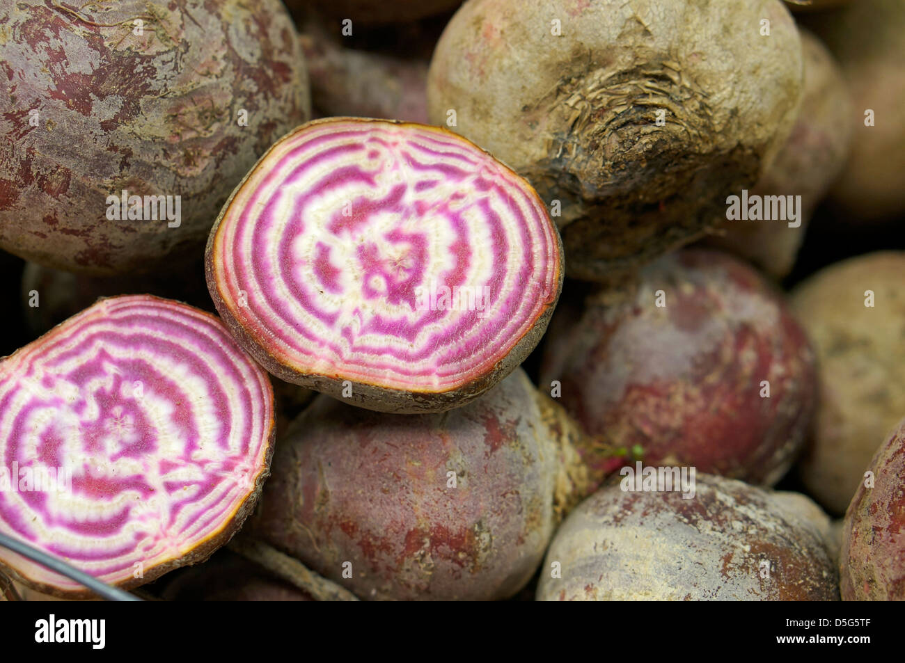 Raw Striped Beetroot Stock Photo - Alamy