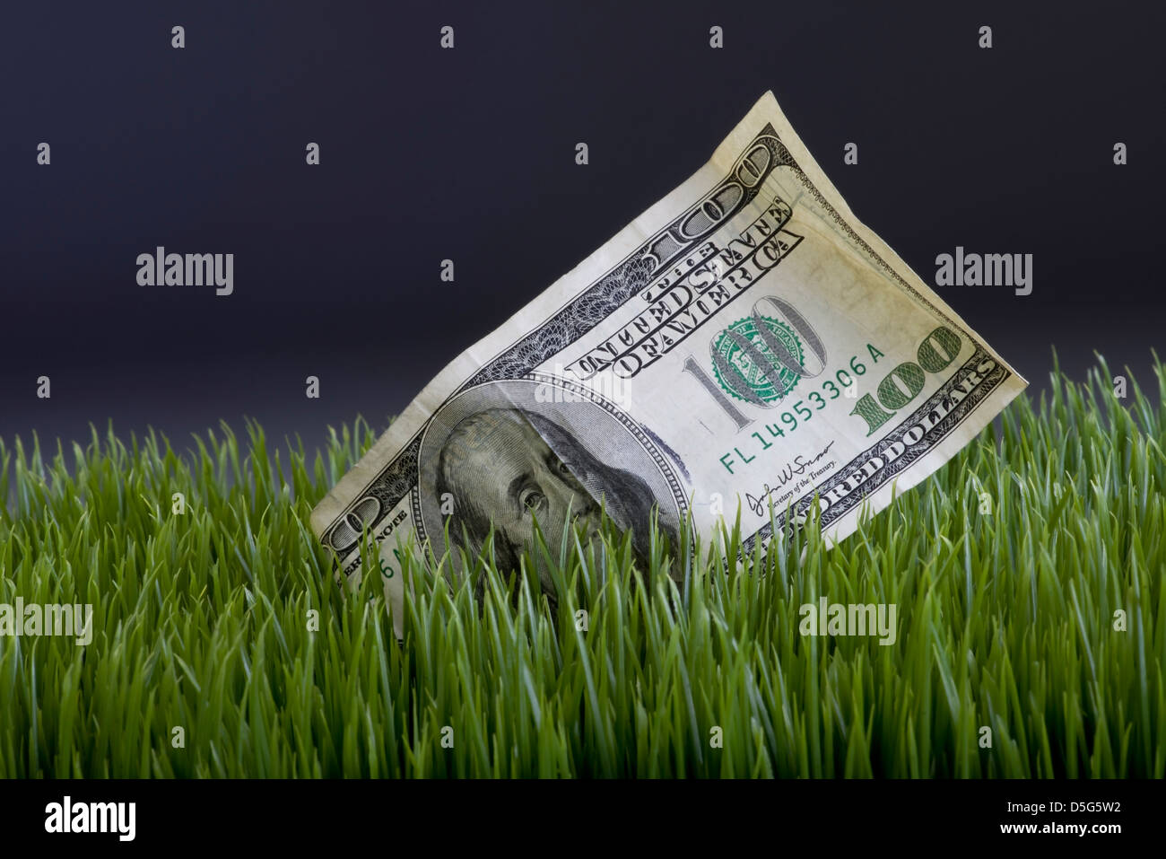 Cash in the grass Stock Photo - Alamy