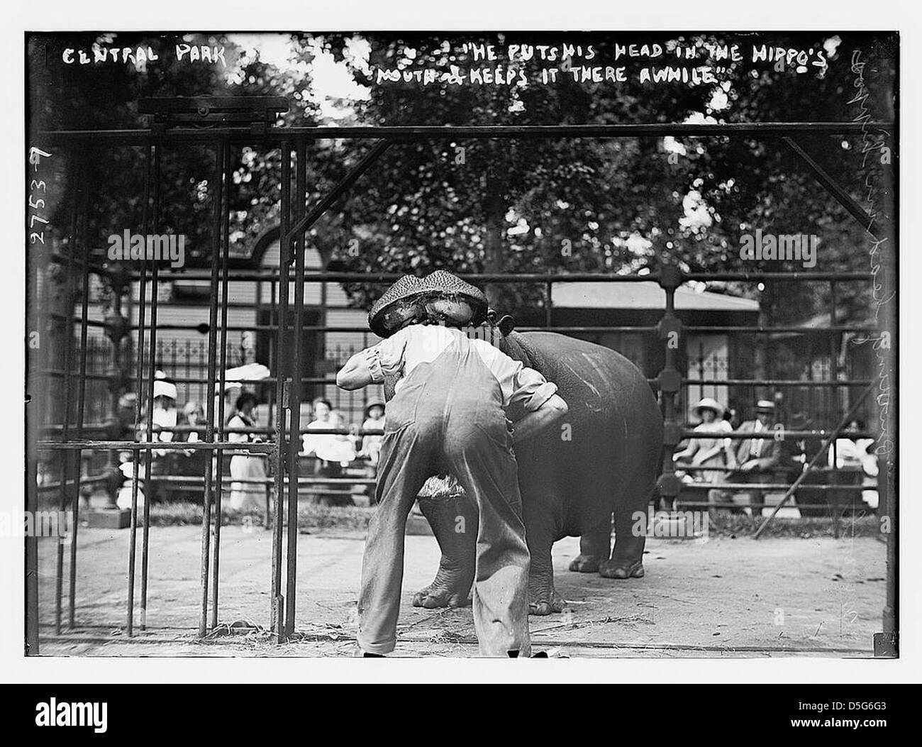 This historical photo shows a man at the Central Park Zoo in New York ...