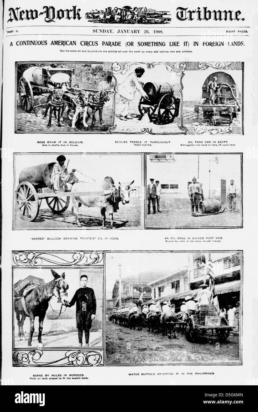 Lively nature Black and White Stock Photos & Images - Alamy