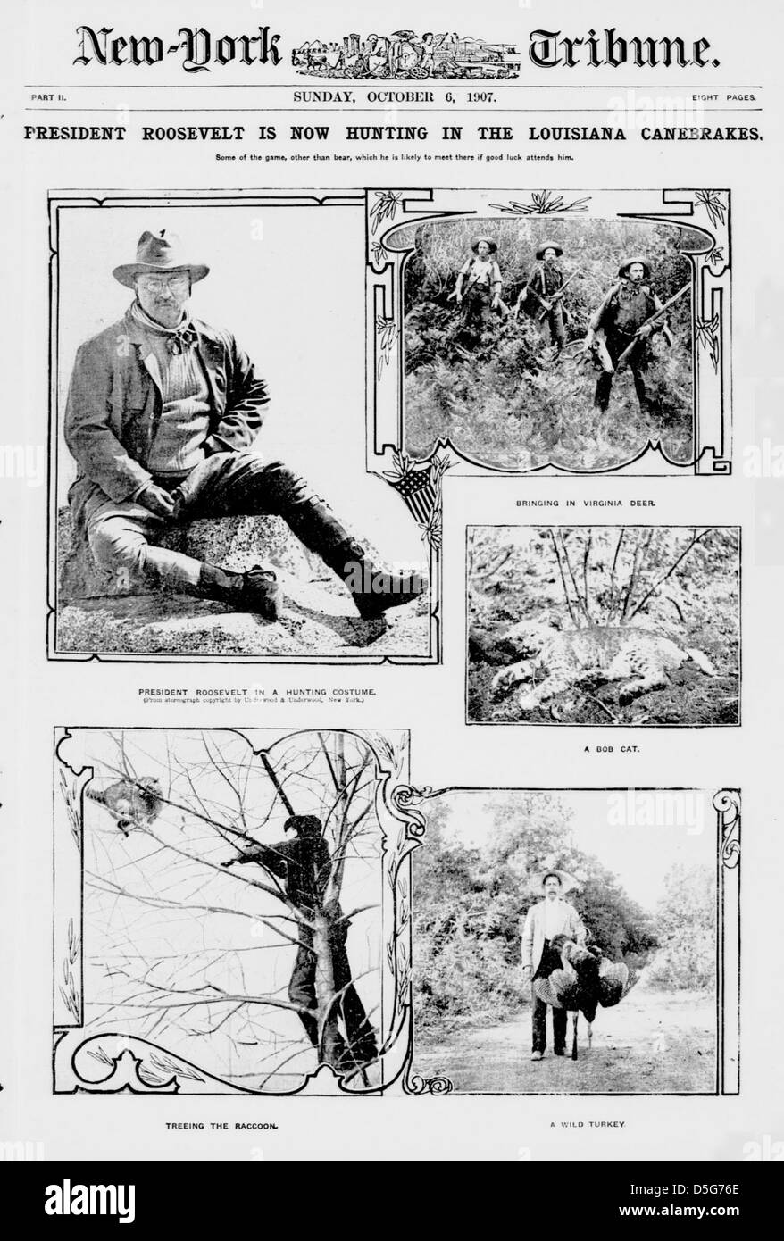 Roosevelt bear hunting Black and White Stock Photos & Images - Alamy