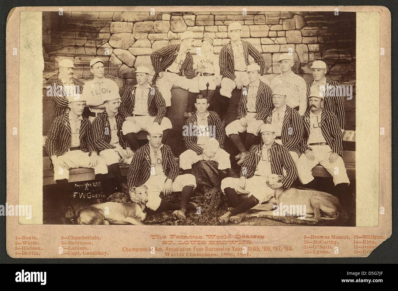 The famous world beaters St. Louis Browns (LOC Stock Photo - Alamy