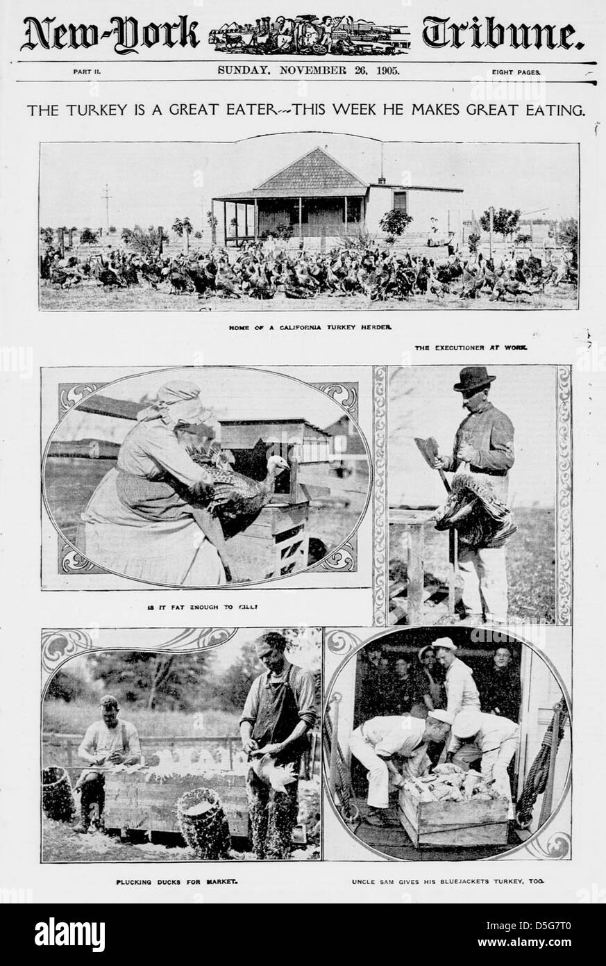 The turkey is a great eater---this week he makes great eating (LOC ...