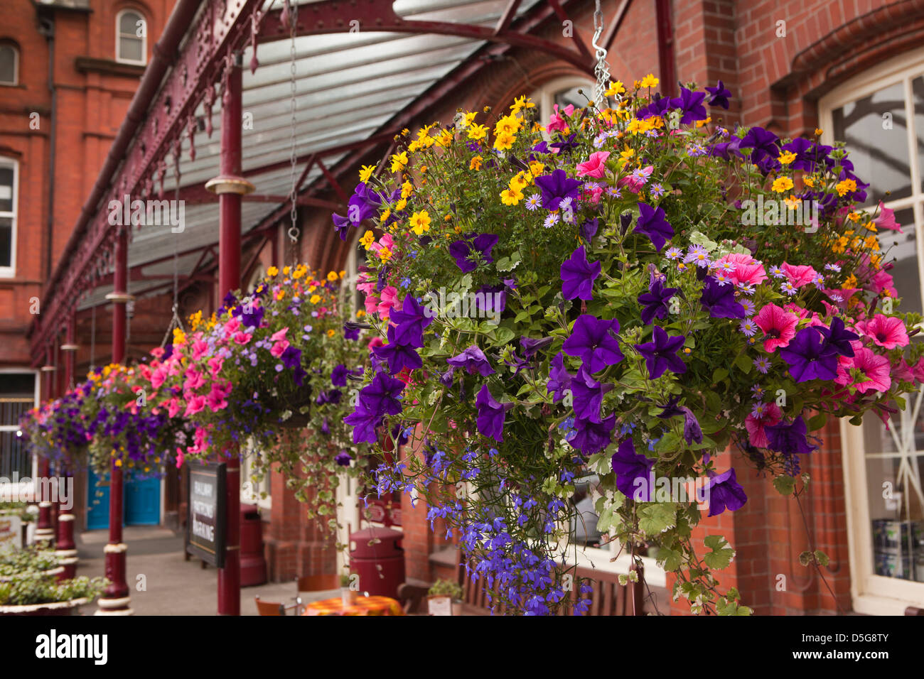 Isle of Man, Douglas, Railway Station, colourful floral hanging baskets ...