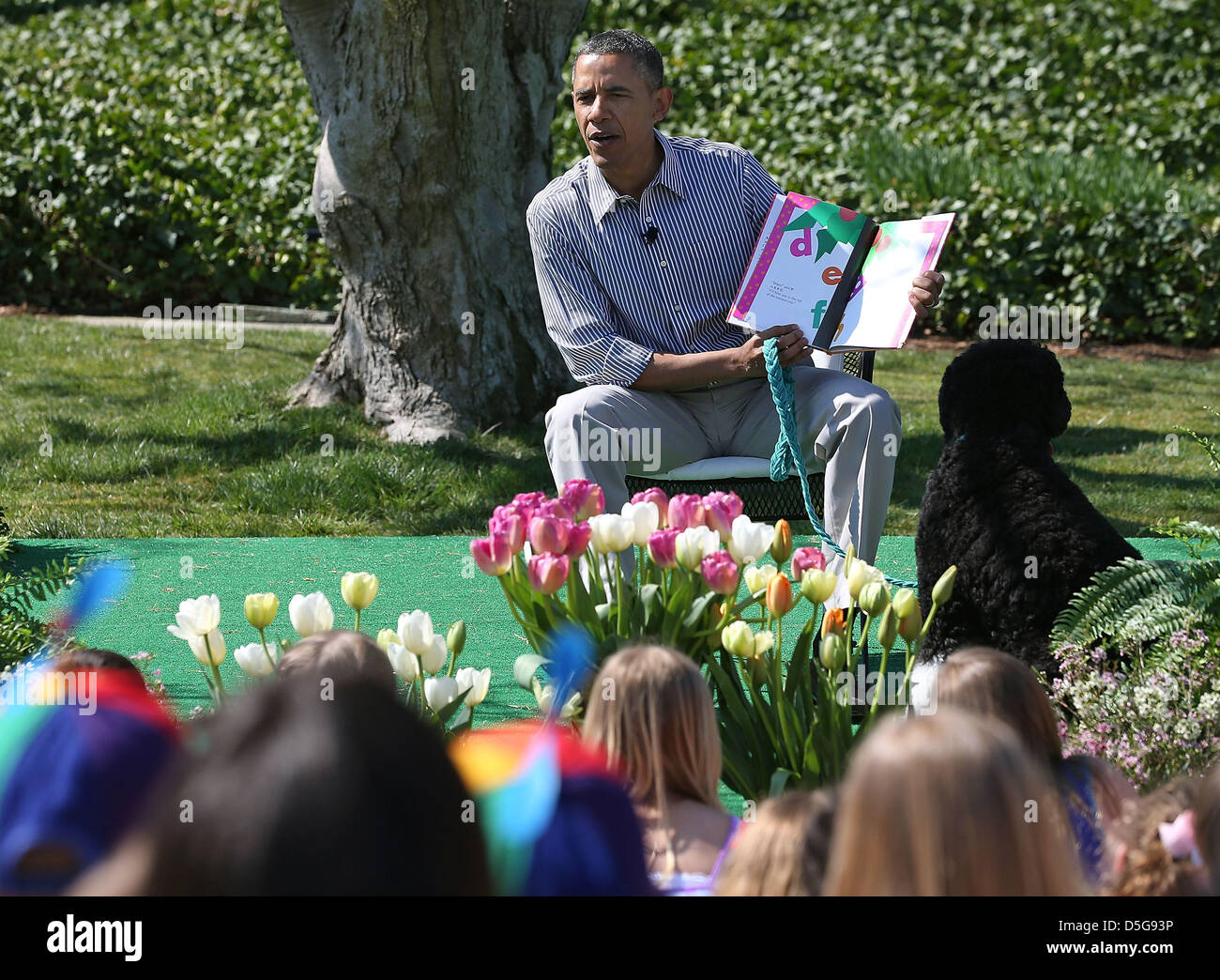 Bo dog obama hi-res stock photography and images - Alamy