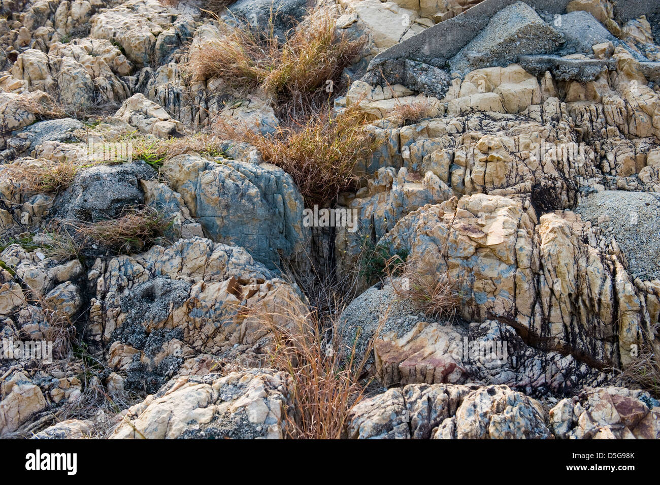 Cracked rocks and dry grass Stock Photo - Alamy