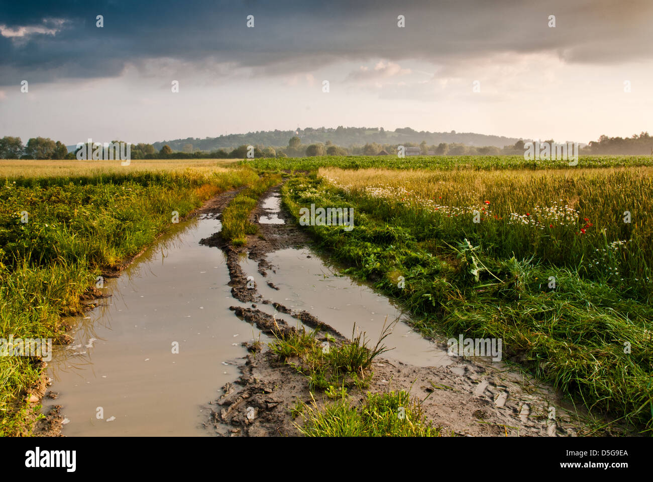 Classic countryside landscape Stock Photo - Alamy
