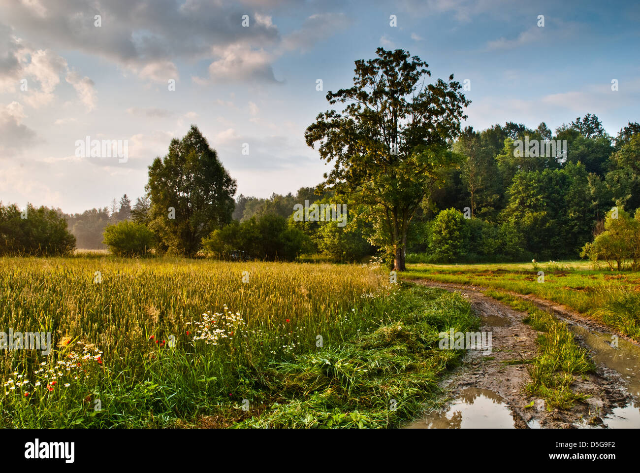 Classic countryside landscape Stock Photo - Alamy
