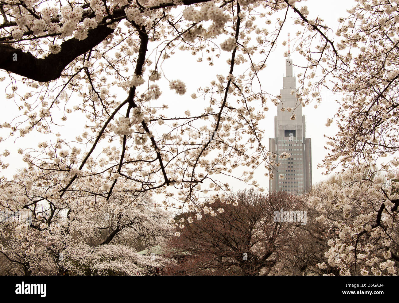 The sakura building hi-res stock photography and images - Alamy