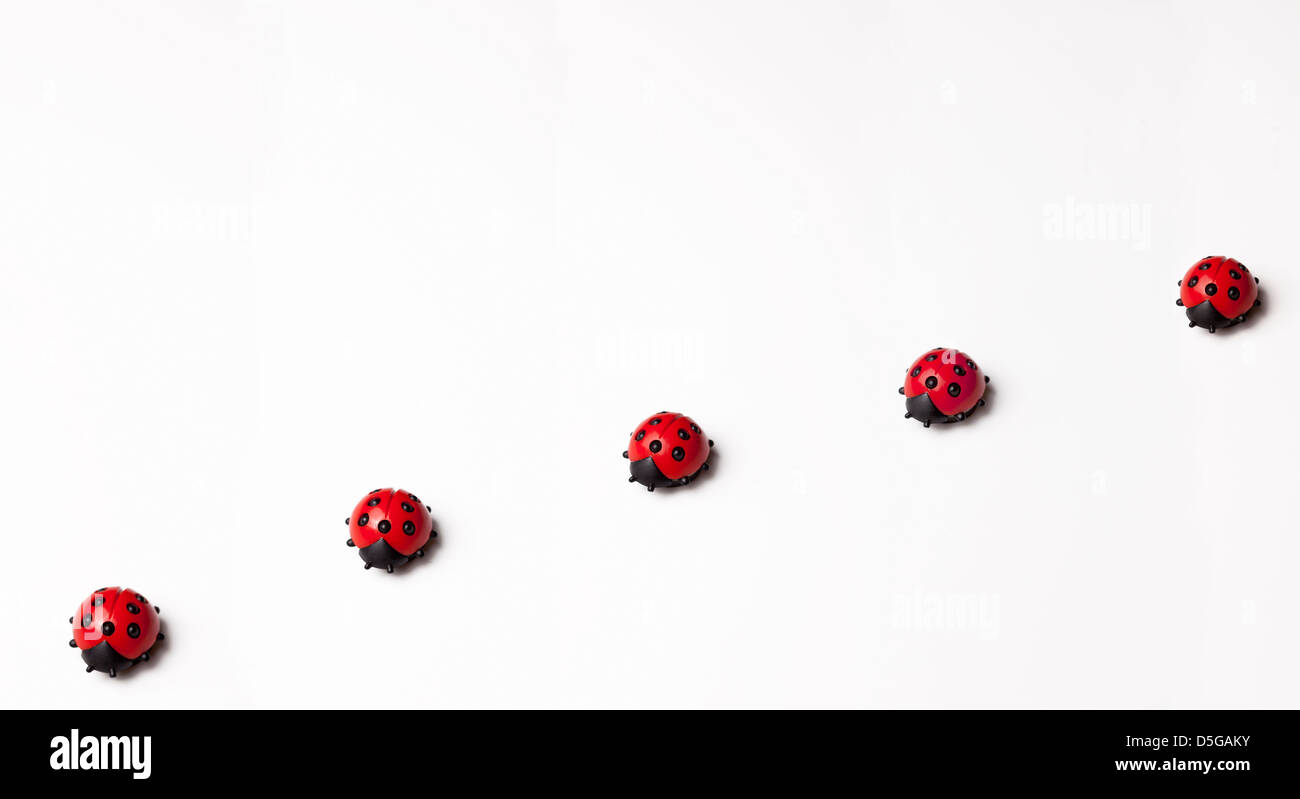 Ladybugs hi-res stock photography and images - Alamy