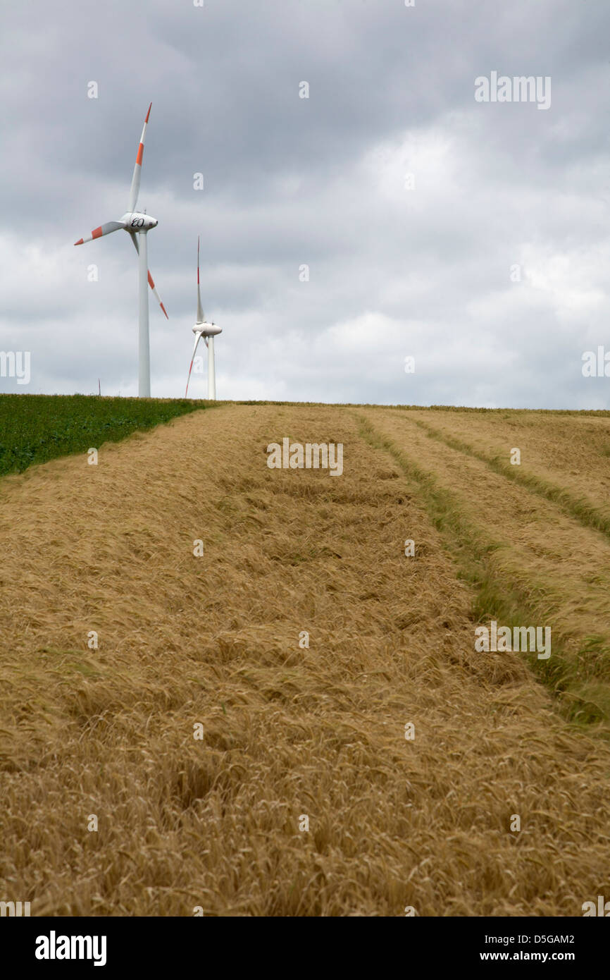 Wellingen hi-res stock photography and images - Alamy