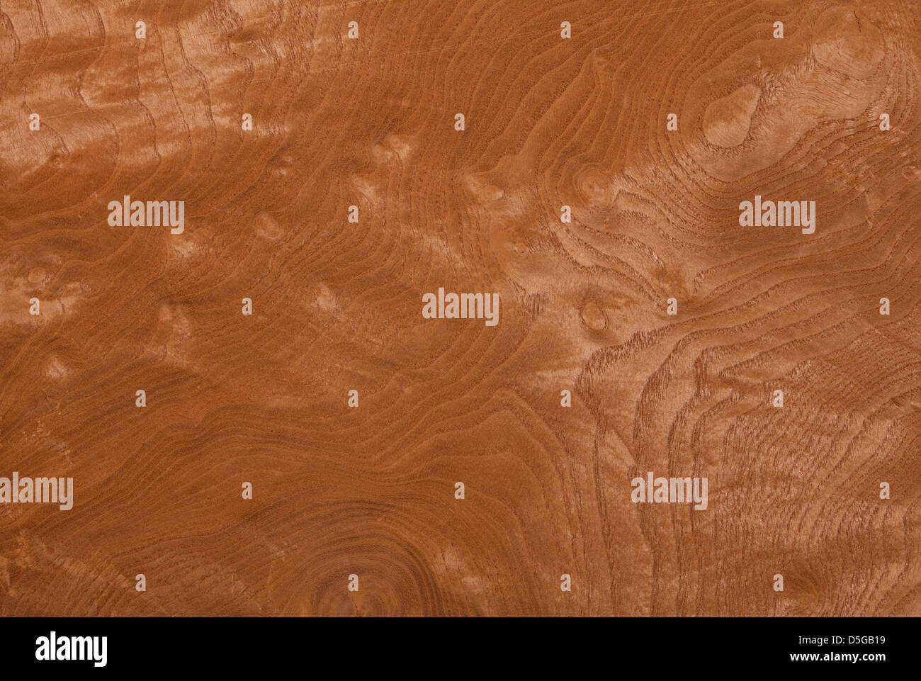 closeup image of natural wood texture Stock Photo - Alamy
