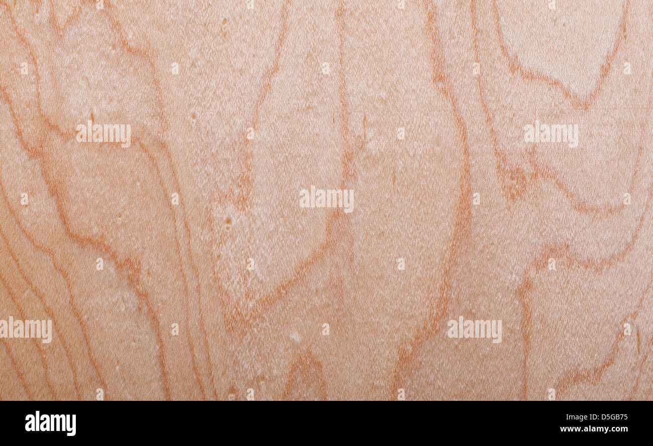closeup image of natural wood texture Stock Photo - Alamy