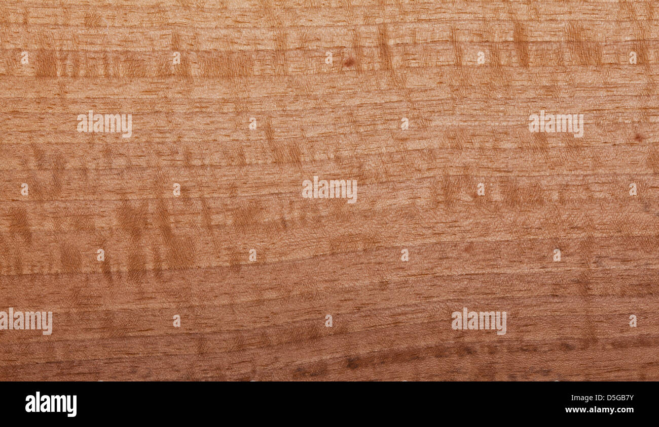 closeup image of natural wood texture Stock Photo - Alamy