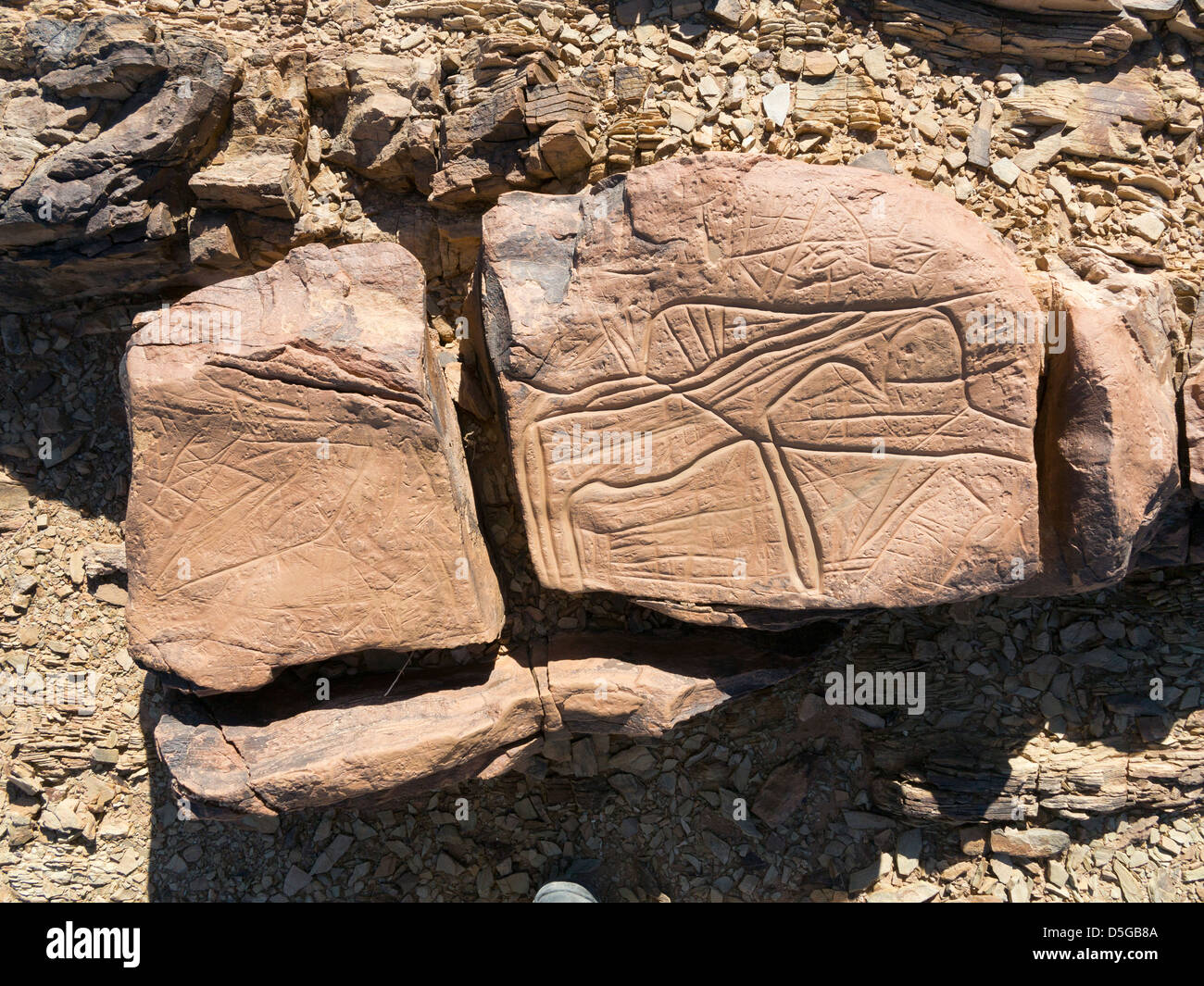 Prehistoric rock carvings at Oued Mestakou on the Tata to Akka road in ...