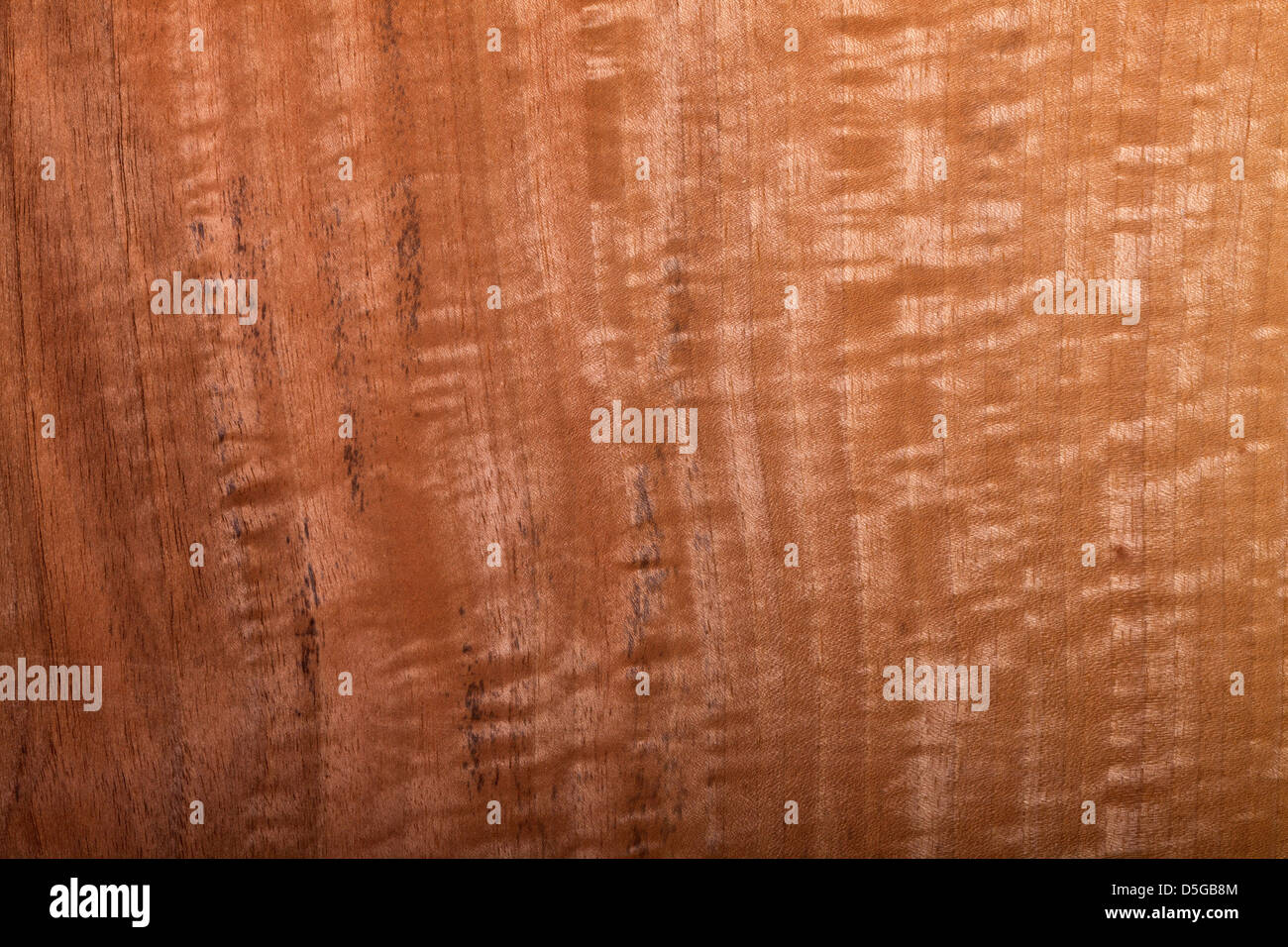 closeup image of natural wood texture Stock Photo - Alamy
