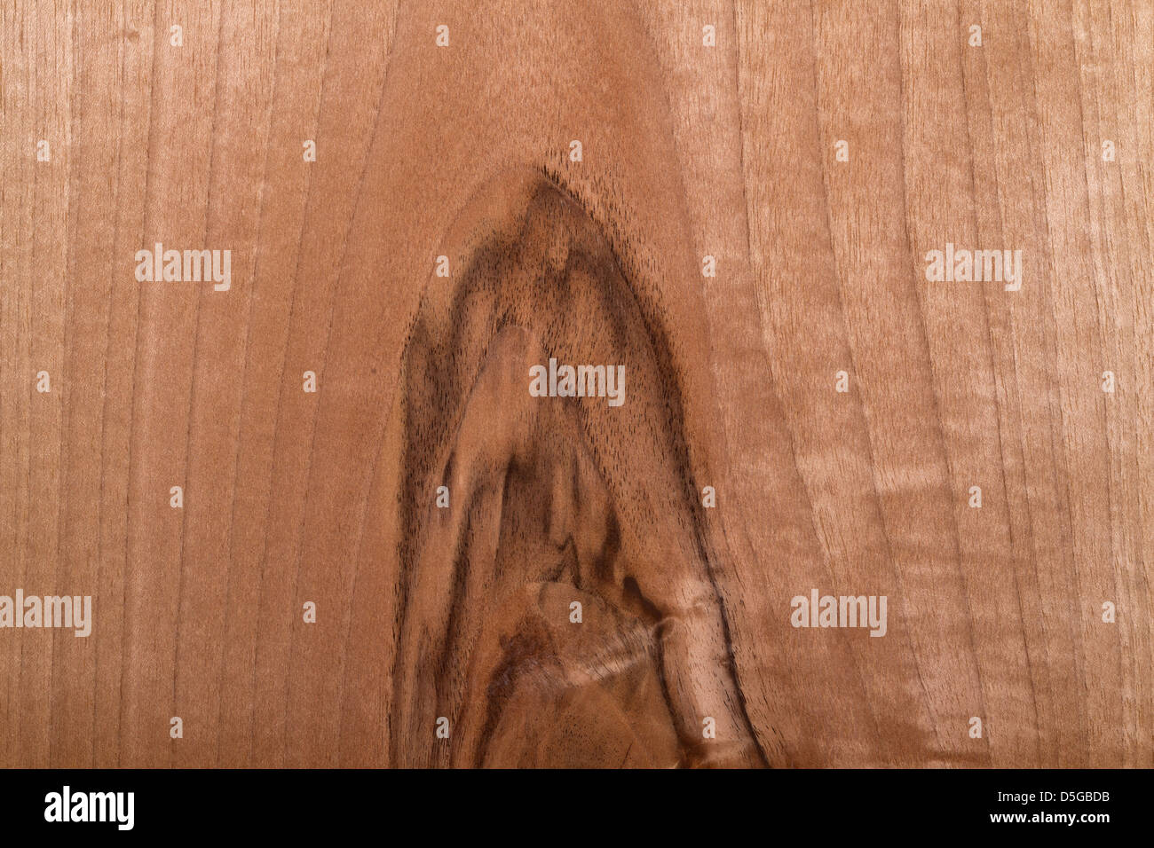 closeup image of natural wood texture Stock Photo - Alamy