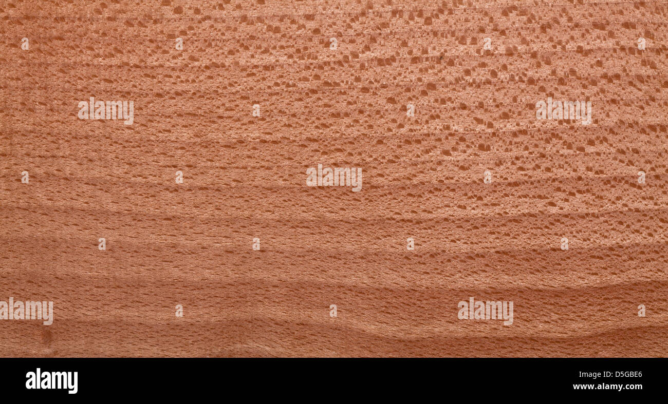 closeup image of natural wood texture Stock Photo - Alamy