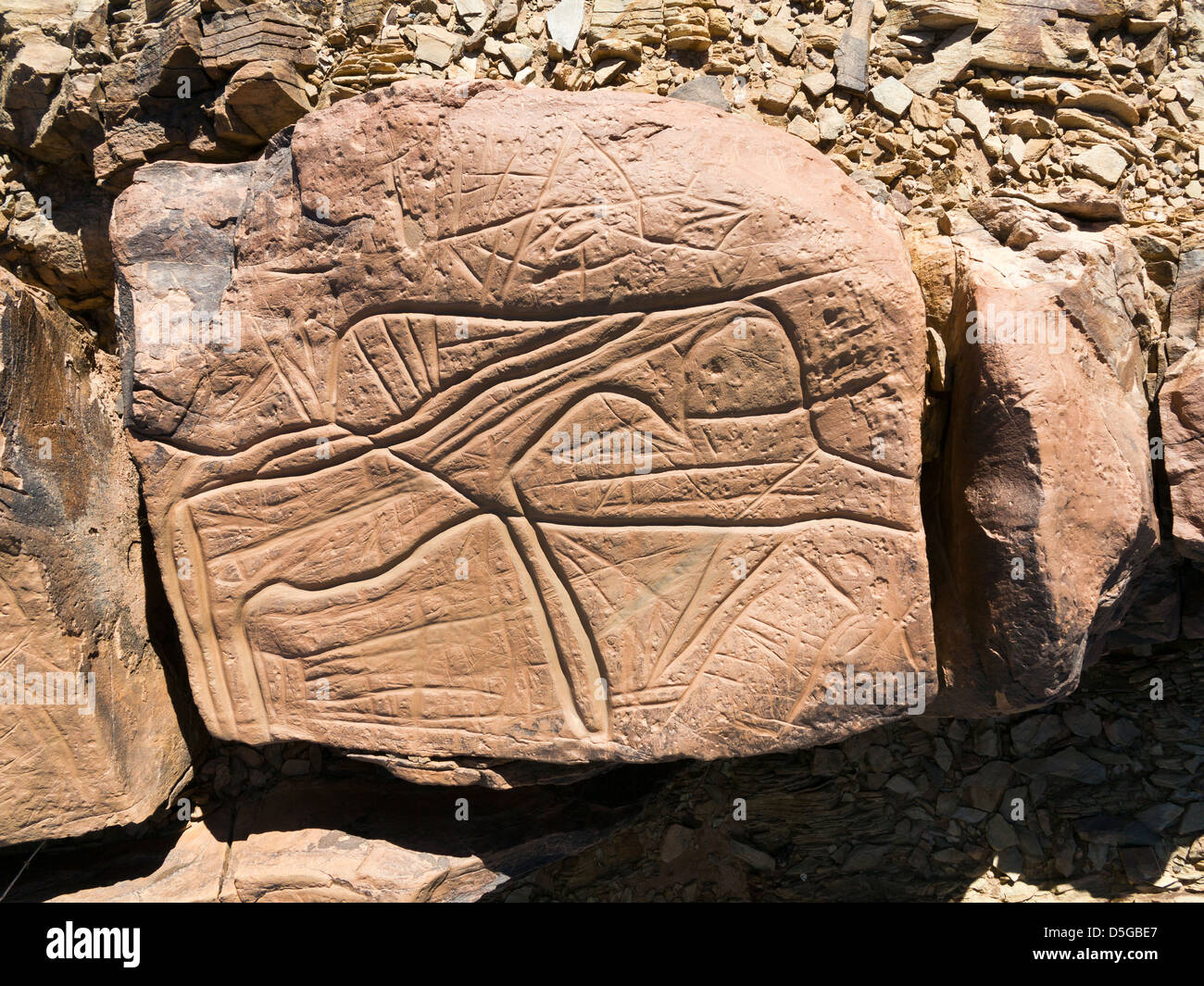 Historic prehistoric rock carvings hi-res stock photography and images ...