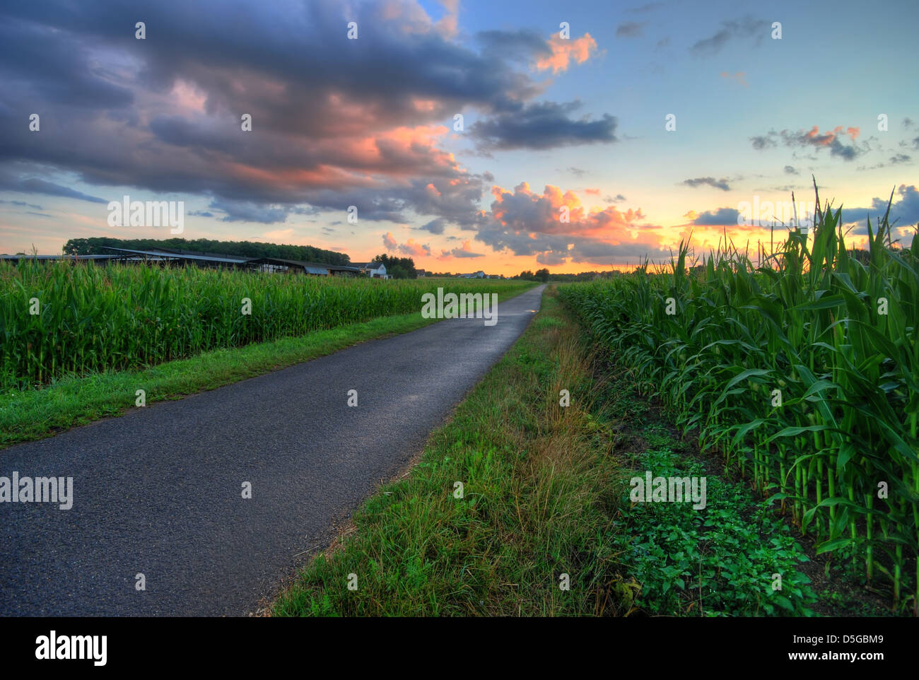 A path through farmland at sunset Stock Photo - Alamy