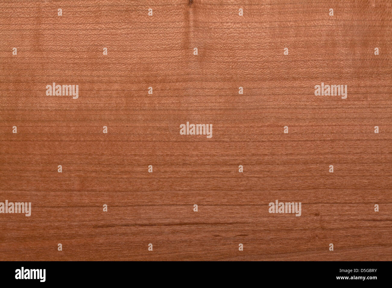 closeup image of natural wood texture Stock Photo - Alamy