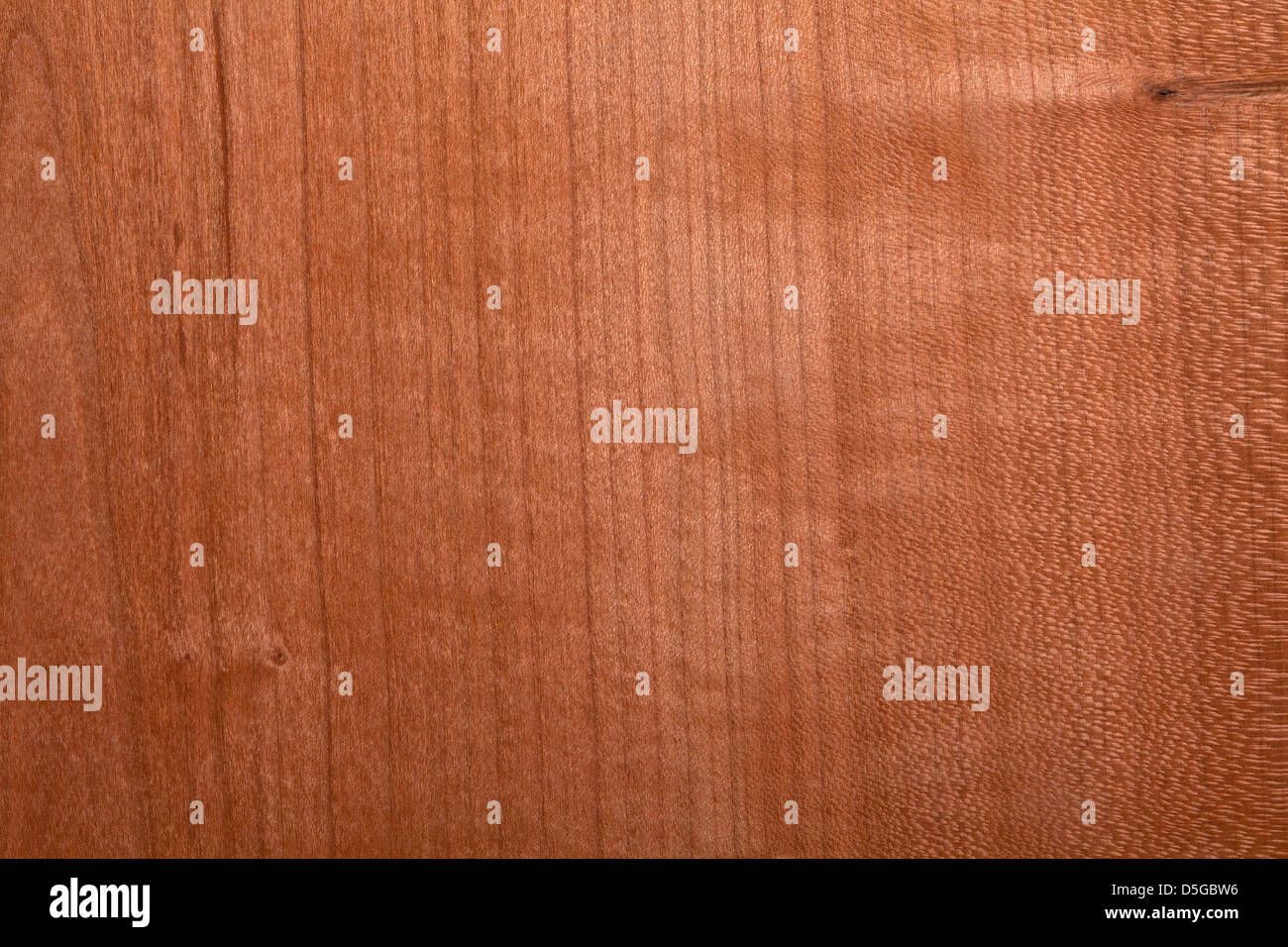 closeup image of natural wood texture Stock Photo - Alamy