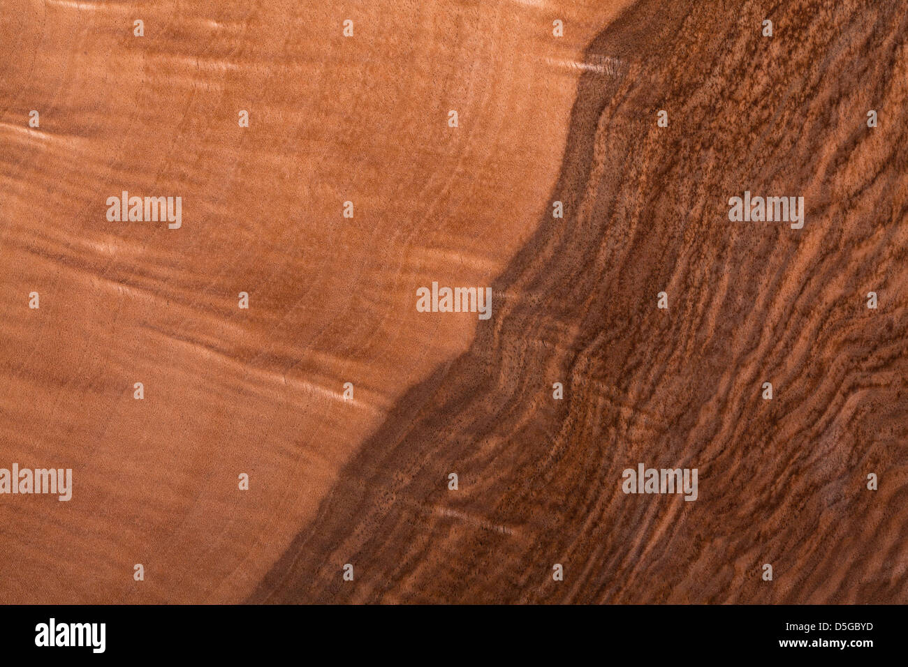 closeup image of natural wood texture Stock Photo - Alamy