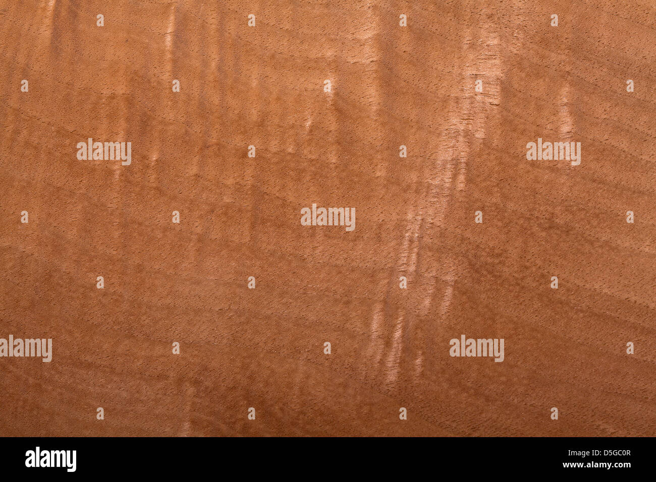 closeup image of natural wood texture Stock Photo - Alamy
