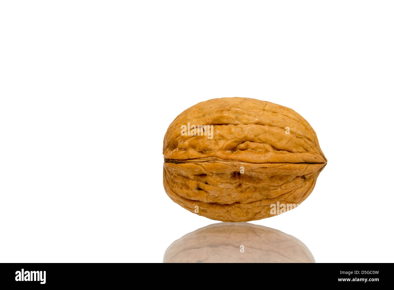 Walnut isolated on white background close up Stock Photo - Alamy