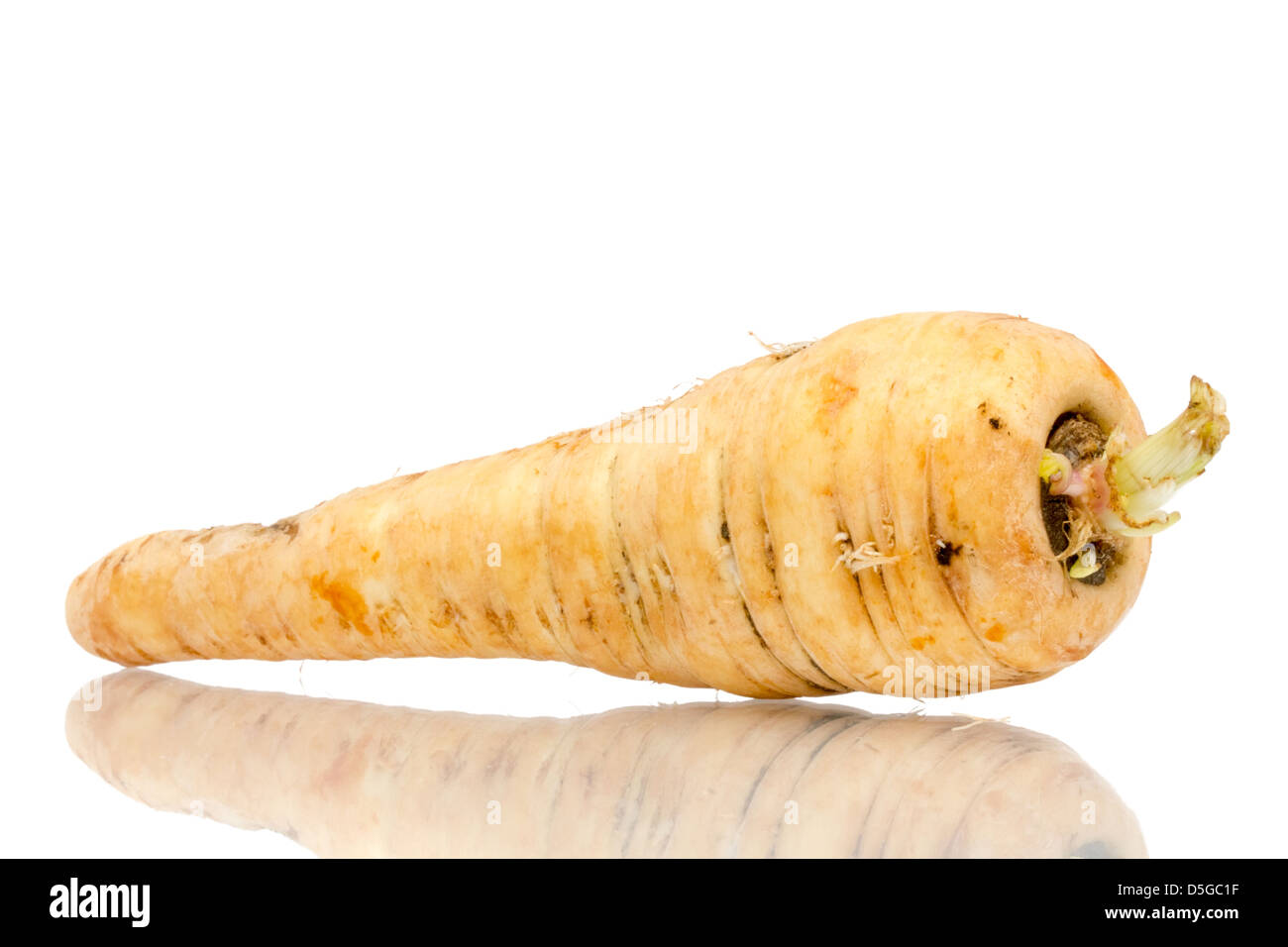 Parsnip isolated on white background close up Stock Photo - Alamy