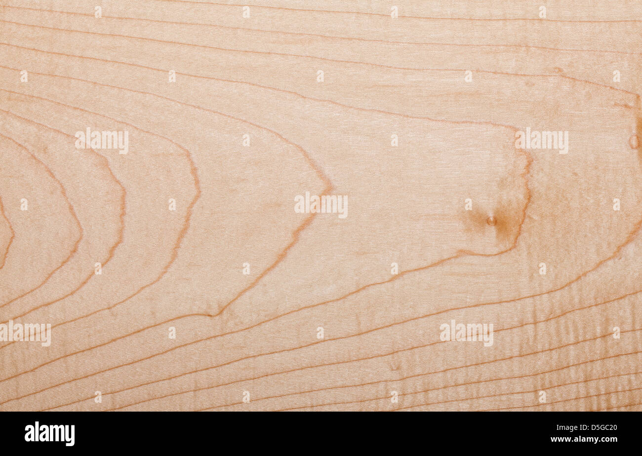 closeup image of natural wood texture Stock Photo - Alamy