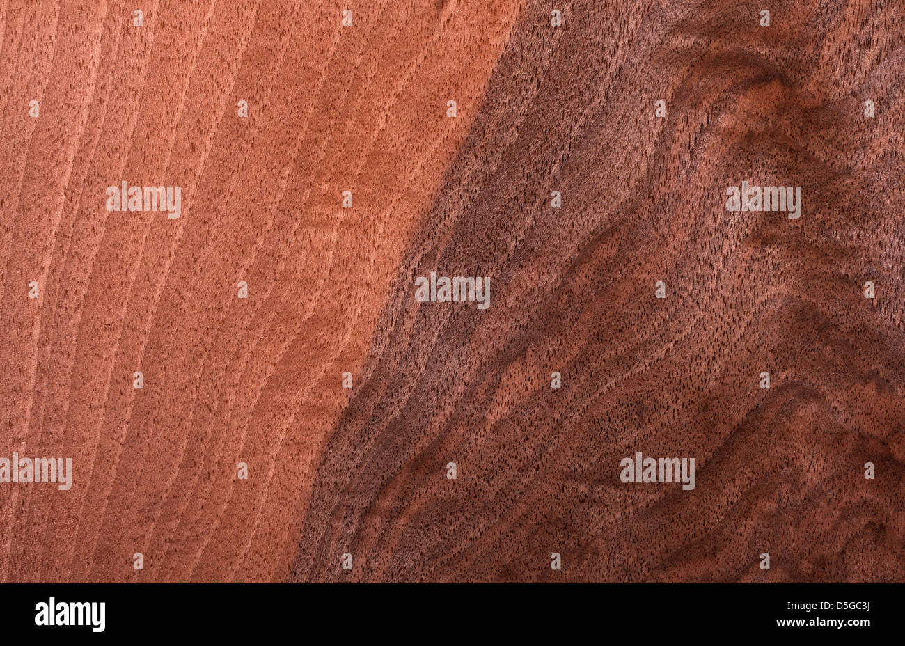 closeup image of natural wood texture Stock Photo - Alamy