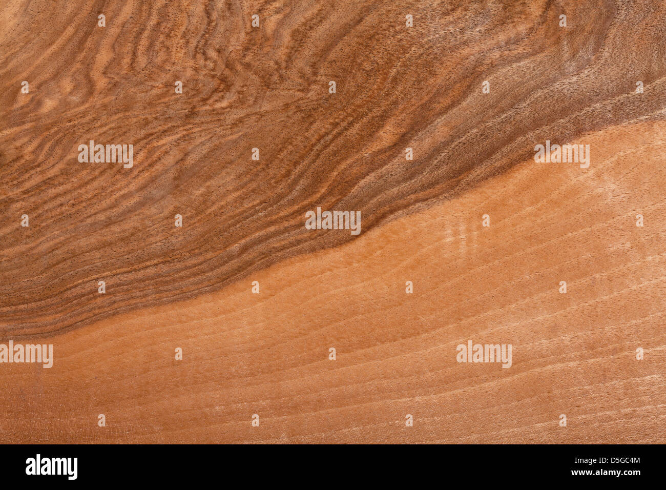 closeup image of natural wood texture Stock Photo - Alamy