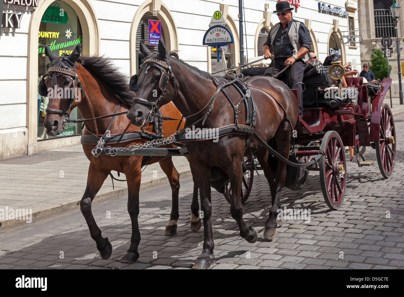 Fiacre carriage vienna austria hi-res stock photography and images - Alamy