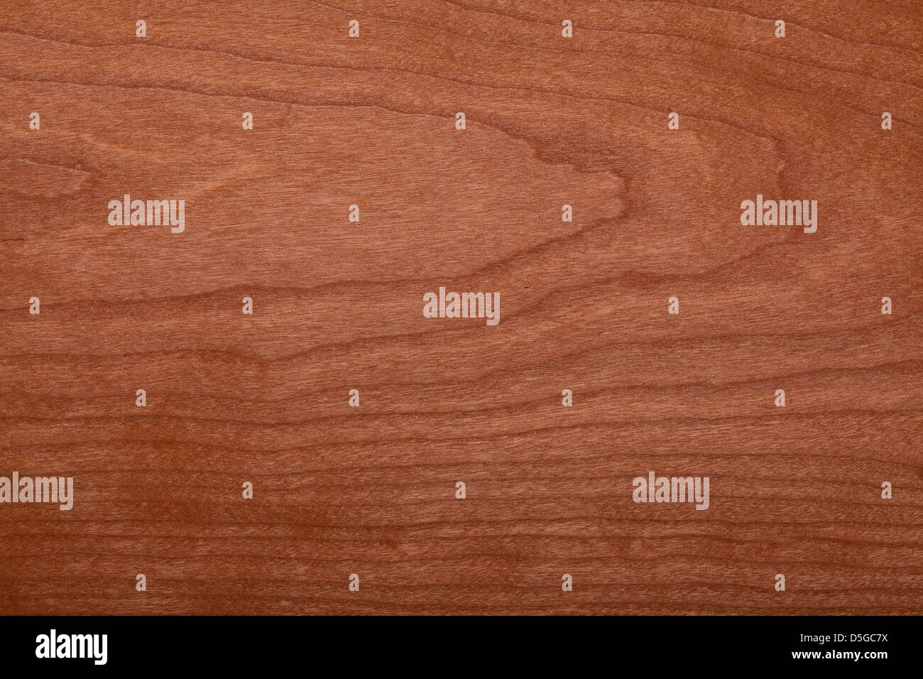 closeup image of natural wood texture Stock Photo - Alamy