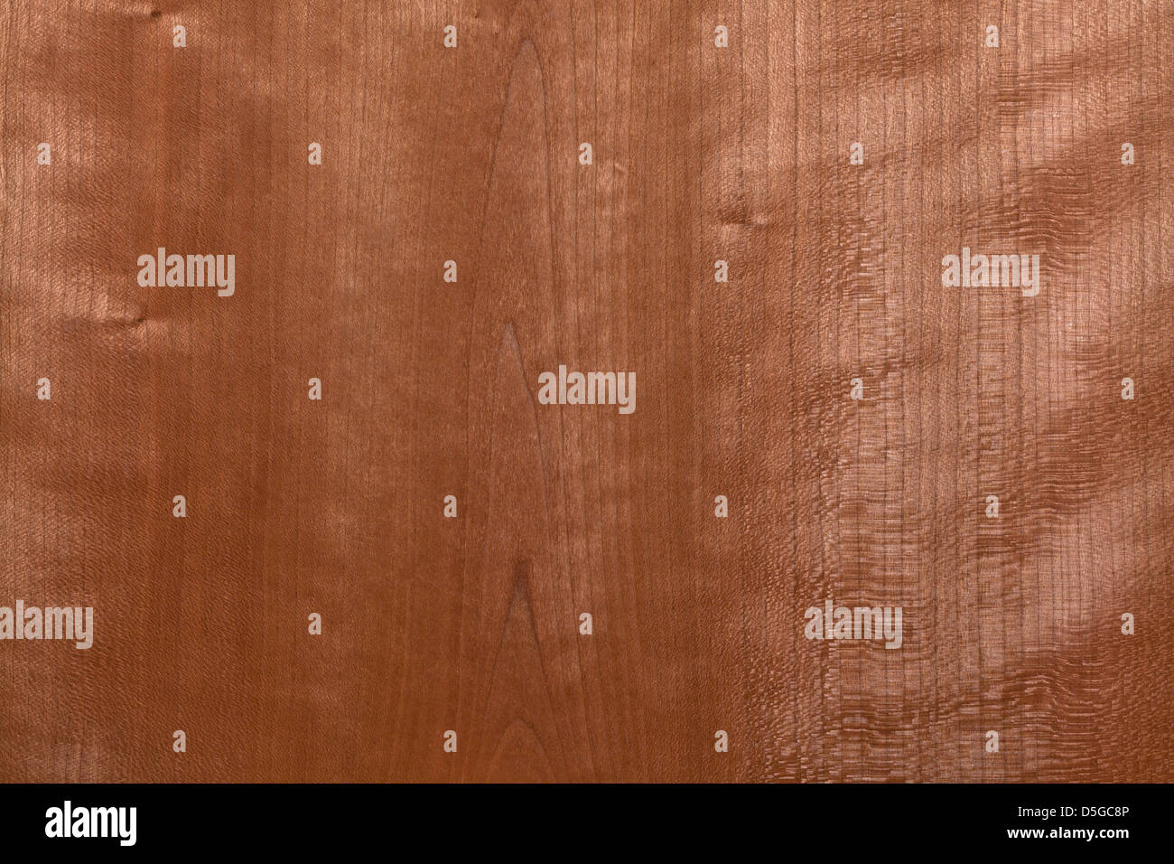 closeup image of natural wood texture Stock Photo - Alamy