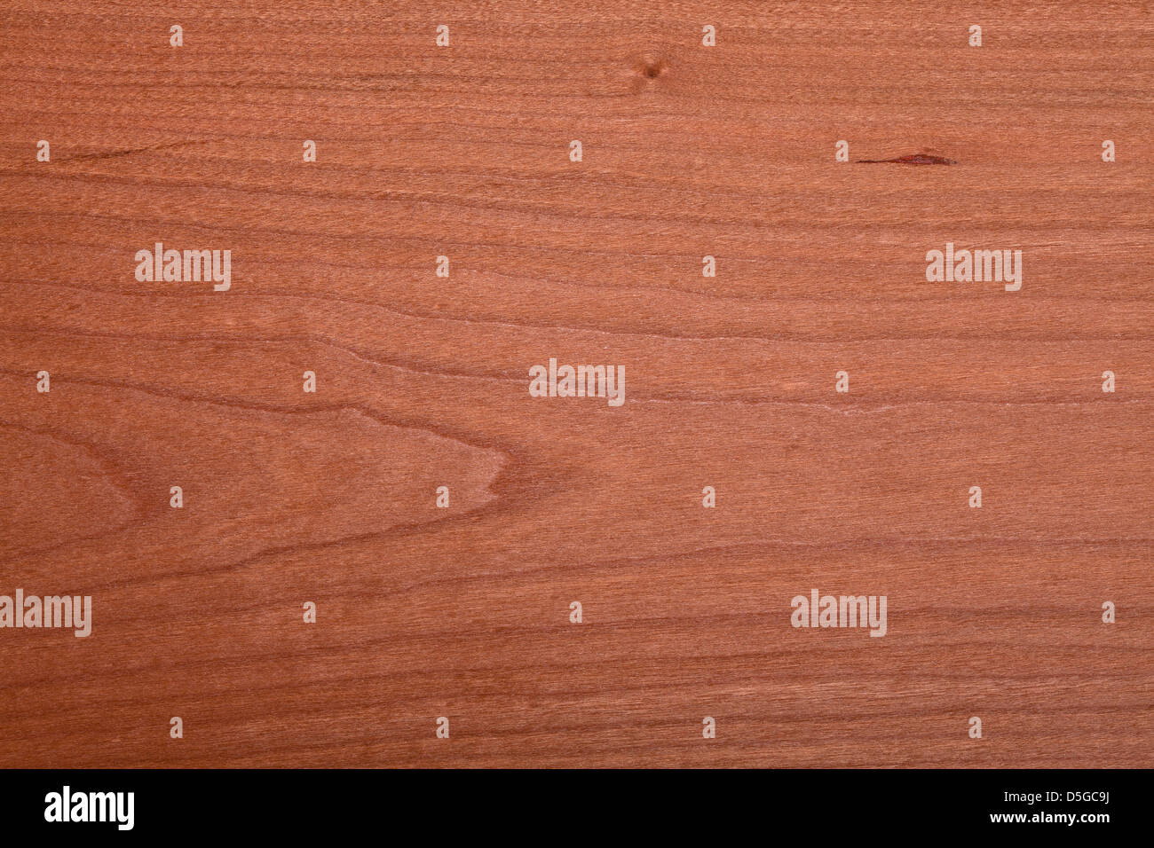 closeup image of natural wood texture Stock Photo - Alamy