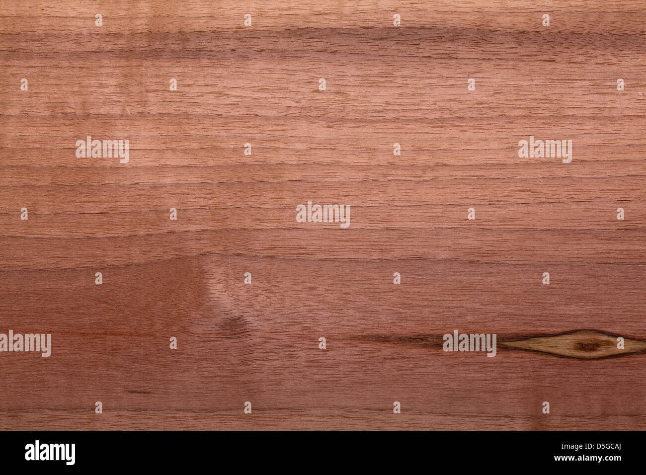 closeup image of natural wood texture Stock Photo - Alamy