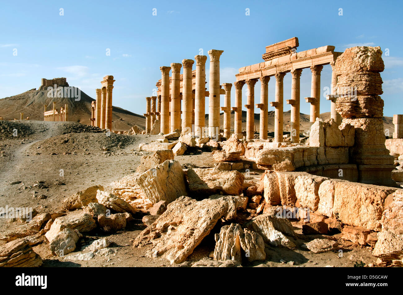 Palmyra baalshamin temple hi-res stock photography and images - Alamy