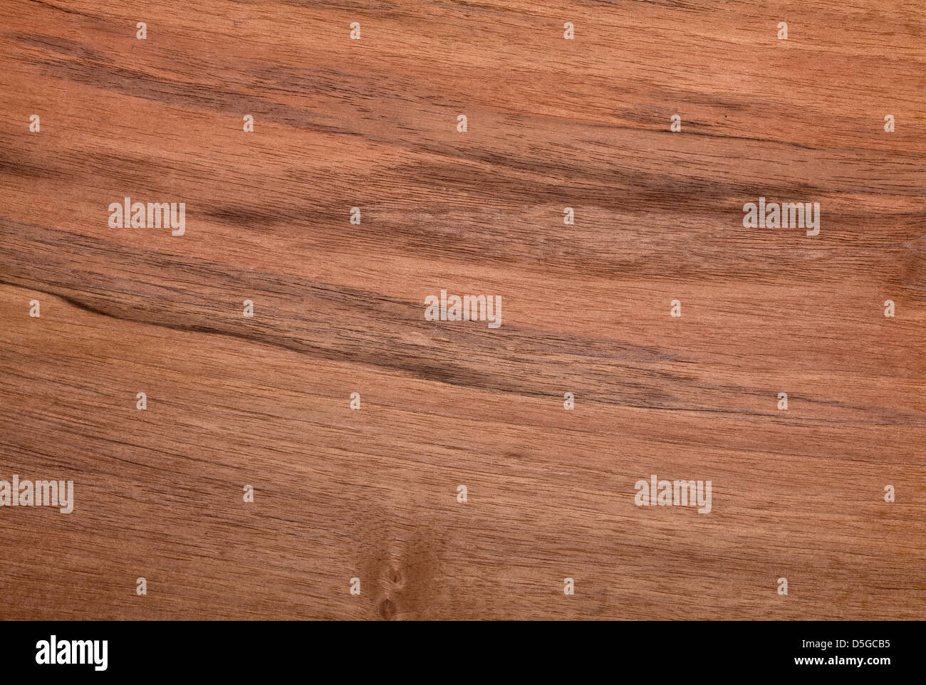 closeup image of natural wood texture Stock Photo - Alamy