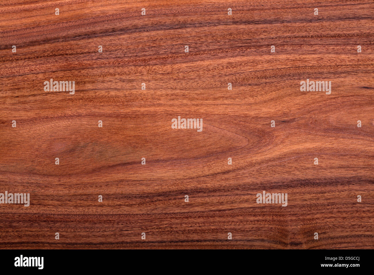 closeup image of natural wood texture Stock Photo - Alamy