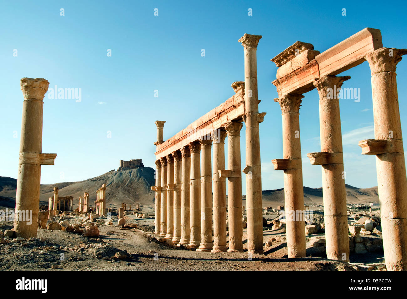 Palmyra baalshamin temple hi-res stock photography and images - Alamy