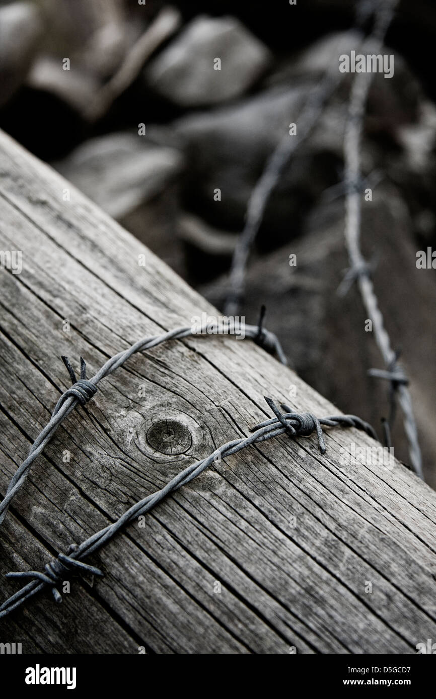 Photograph of barbed wire wrapped round a wooden post Stock Photo - Alamy