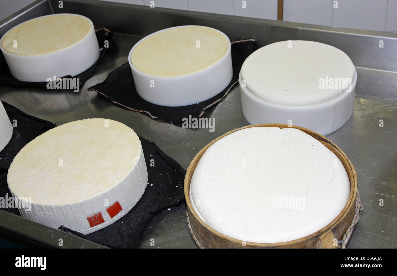 Various forms of cheese hi-res stock photography and images - Alamy