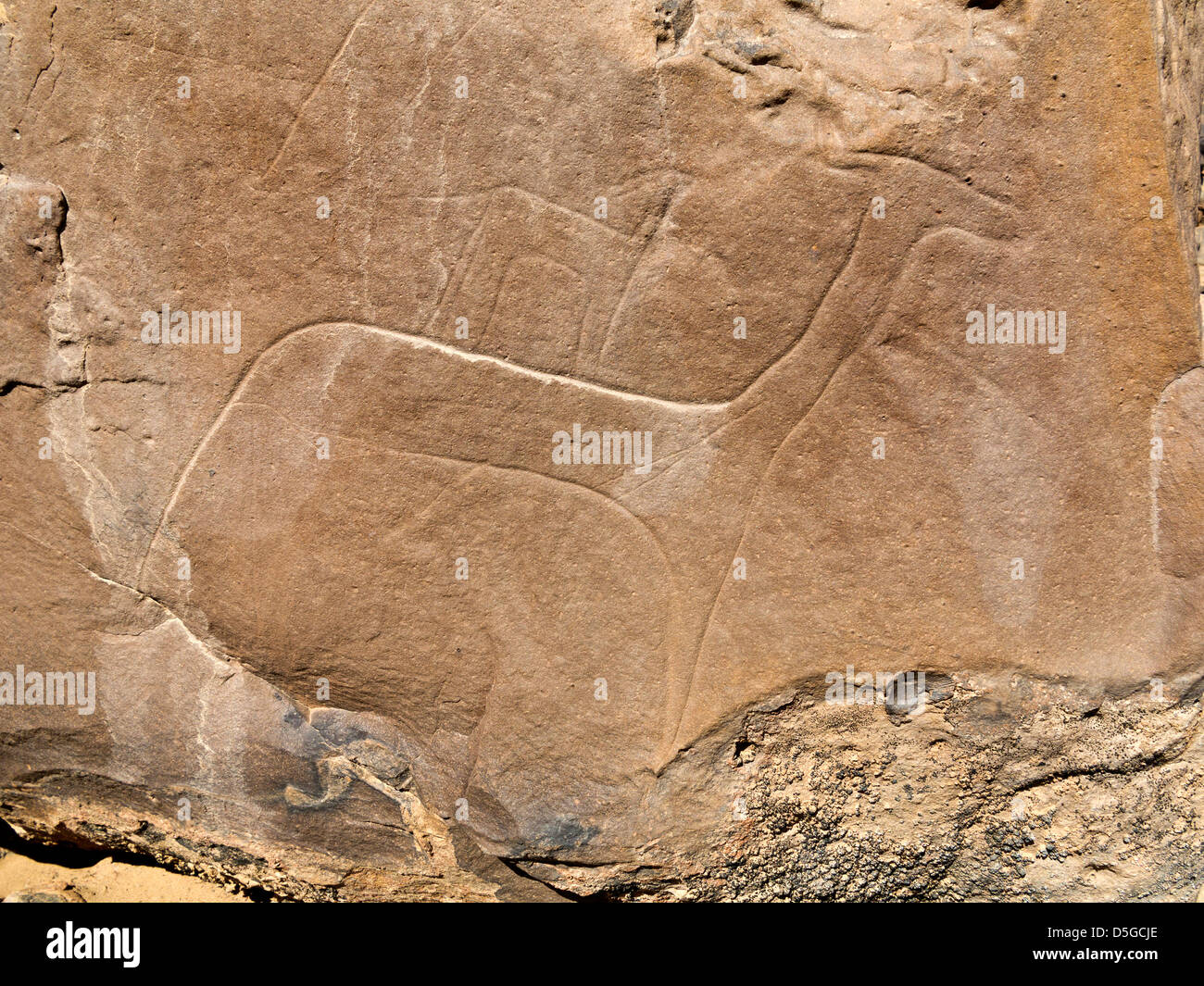 Prehistoric rock carvings at Oued Mestakou on the Tata to Akka road in ...
